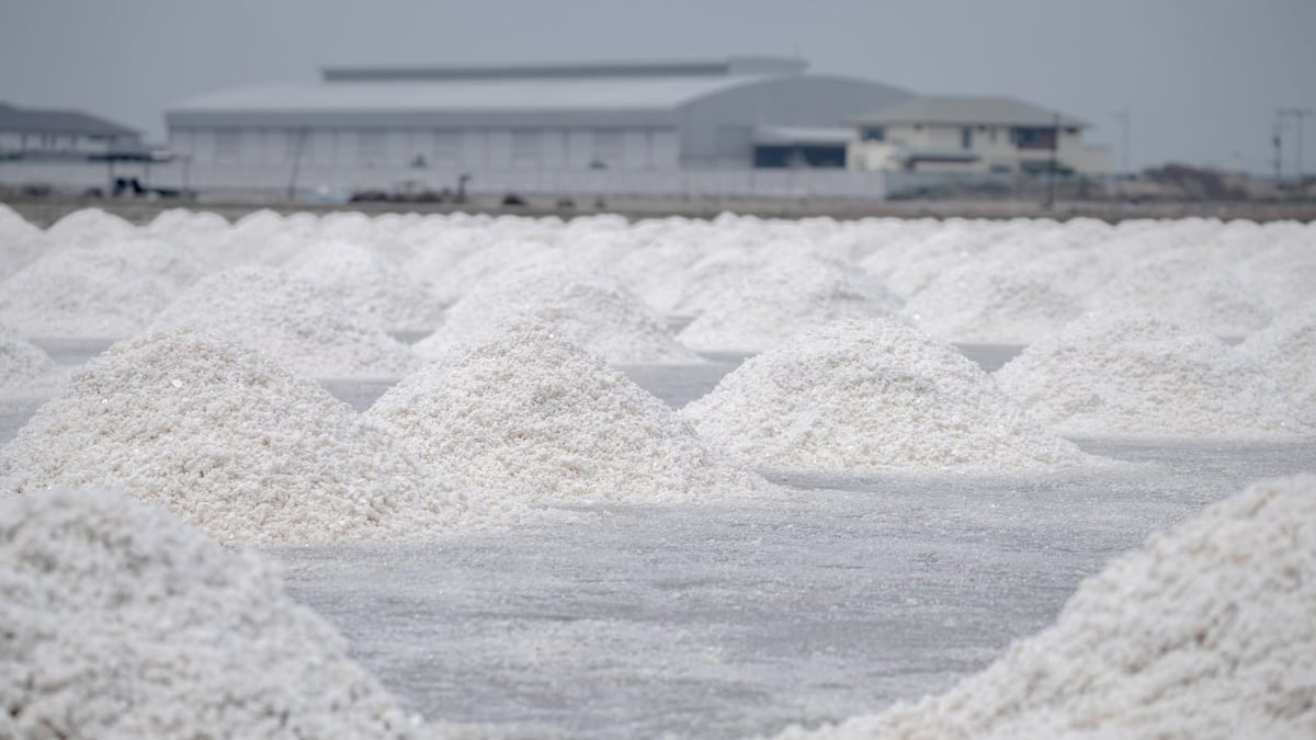 Production de batteries électriques au lithium : un acteur chinois ...